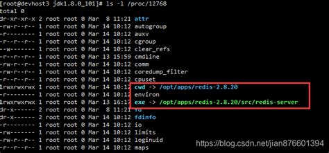 Linux搜索进程id，通过proc文件系统，查看进程运行所在路径和运行状态等信息 Csdn博客