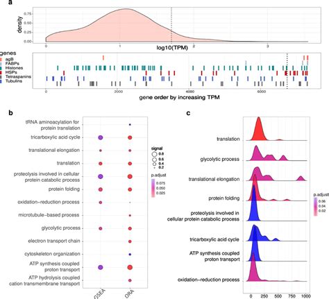 gene expression of e multilocularis primary cells a density plot of