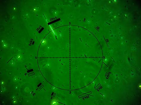 Asbestos Fibers Under Microscope