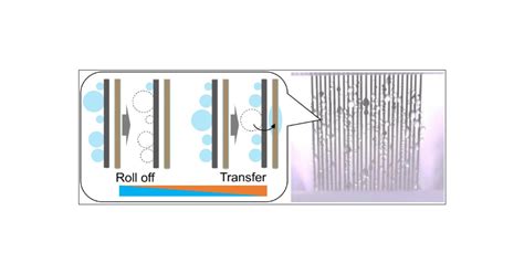 Effect Of Droplet Removal Processes On Fog Harvesting Performance On Wettability Controlled Wire