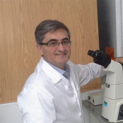 Mohammad Shafiee Assistant Professor Phd Department Of Medical Genetics Research Profile