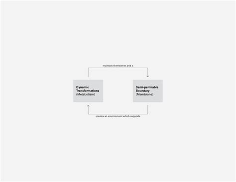 Cybernetics And Service Craft Language For Behavior Focused Design