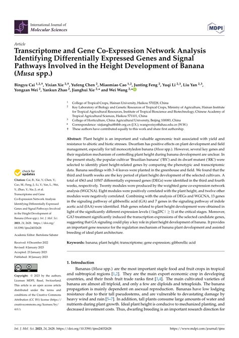 Pdf Transcriptome And Gene Co Expression Network Analysis Identifying