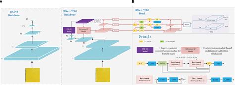 Frontiers Srnet Yolo A Model For Detecting Tiny And Very Tiny Pests