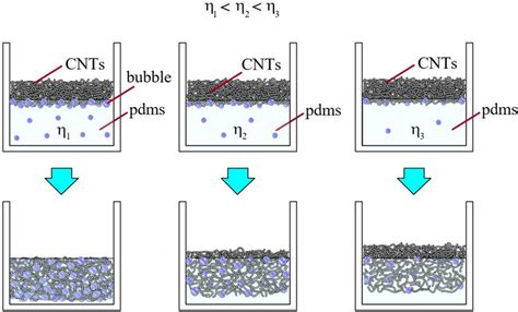 Schematic Of The Cntspdms Based Sensor Fabrication Procedure At