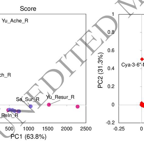 Pca Score And Loading Plots For Anthocyanins In Strawberry Organs Using Download Scientific