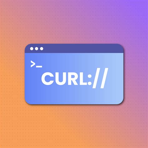 Curl D Command What Is It And Benefits For Data Transfer Netnut