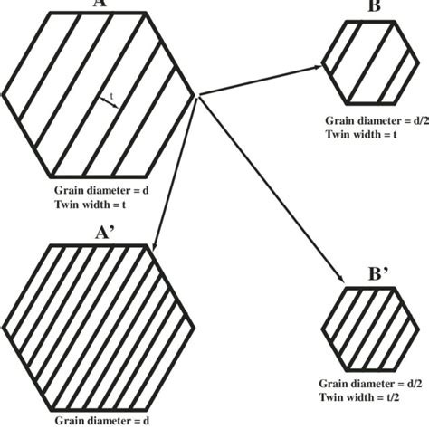 Schematic Diagram Showing Three Types Of Refinements Considered For Download Scientific Diagram