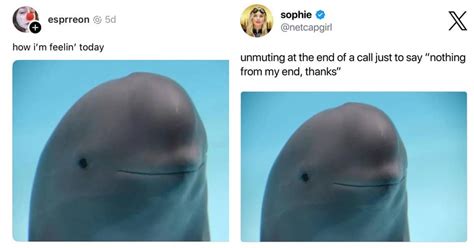 Smiling Dolphin Memes 25 Of The Newest Happy Meme