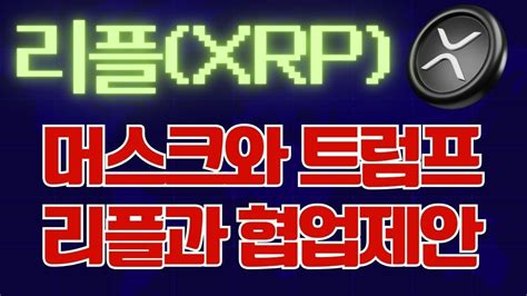 리플 머스크 공식석상에서 리플을 외치다리플 리플코인 리플전망 암호화폐 Youtube