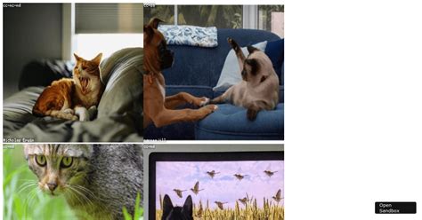 Applying Lazyload And Lazyloadimage Example Forked Codesandbox