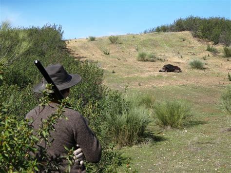 Monteros De La Capacha Ya Tiene Calendario Todomonteria