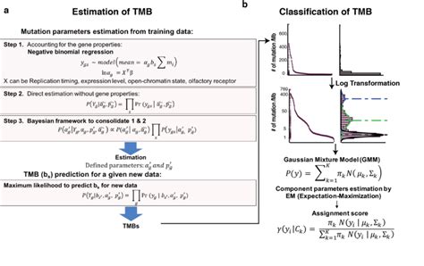 Ectmb Workflow A An Explicit Background Mutation Model For Tmb