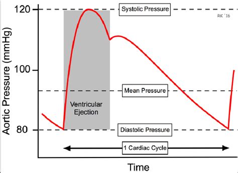 Diagram Of Aortic Pressure Waveform 20 Download Scientific Diagram