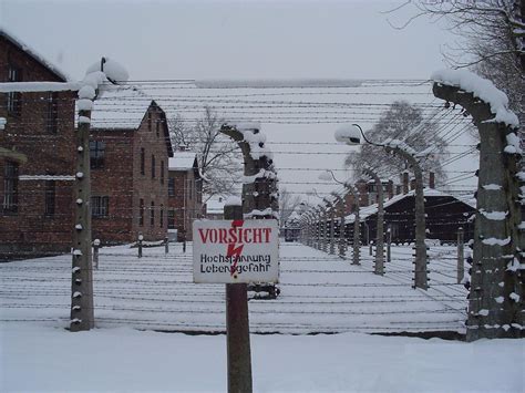 Private Auschwitz Tour Guide And Transportation From Katowice By Piotr