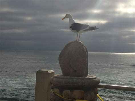 Firefox 69 Released And How To ‘rotate The Mouse Cursor With Css