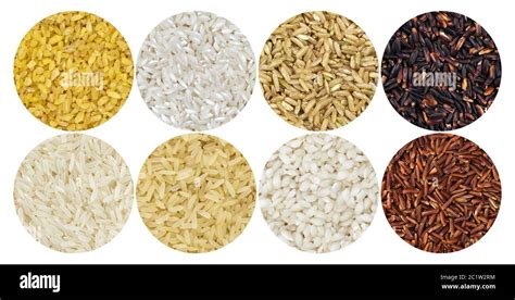 Rice Pattern Different Types Of Rice On White Background Stock Photo Alamy