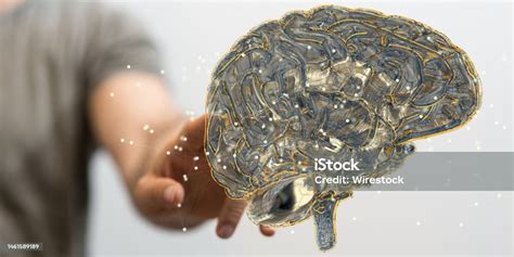 인간 두뇌의 가상 3d 모델을 만지는 손의 클로즈업 개념에 대한 스톡 사진 및 기타 이미지 개념 개념과 주제 건강관리와 의술 Istock