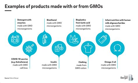 Genetically Modified Food Examples