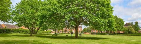 Biodiversity And Green Spaces