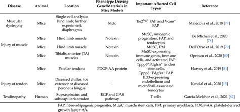 Application Of Single Cell And Spatial Omics In Muscle Or Download