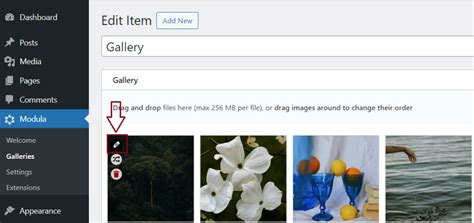 How To Create A Wordpress Multimedia Gallery Modula