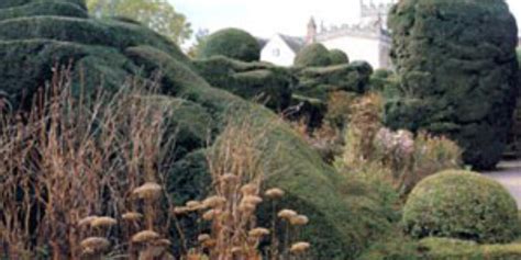 Shakespeare In The Garden Mcalpine