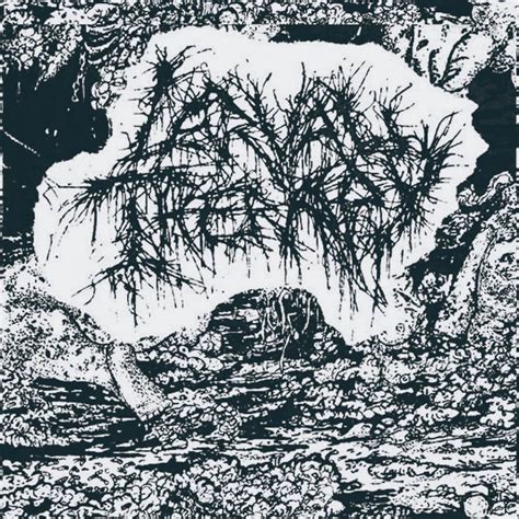 Larval Therapy Store Official Merch And Vinyl