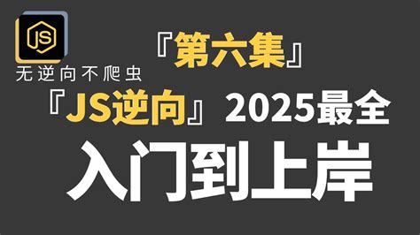 【一下省3w】白嫖爬虫js逆向一套200集系统教程！【第六课】保姆级python爬虫进阶课，会逆向才是真爬虫！从入门 进阶 实战 精通 做单