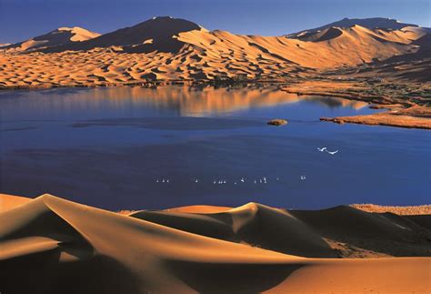 杨子砚：7年申遗路 向世界推荐巴丹吉林沙漠 新华网