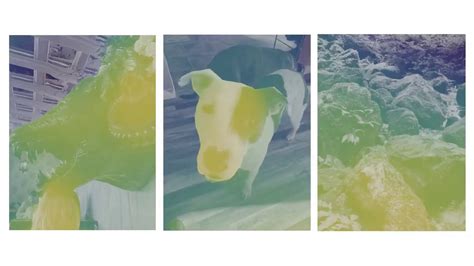 Facebooks New Ai Powered Tool Can Turn Virtually Any Standard 2d