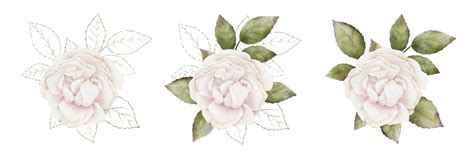 수채화 흰색분홍색 장미의 구성은 잉크와 수채화의 변형으로 그려진 나뭇잎으로 둘러싸여 있습니다 청첩장 엽서 포스터 패브릭 디자인을 위한 식물 꽃꽂이 0명에 대한 스톡 벡터