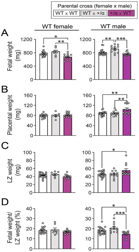 Maternal And Intrauterine Influences On Feto Placental Growth Are Accompanied By Sexually
