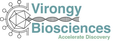 Nipah Pseudovirus Rapid Alpha Pseudoviruses For Henipavirus