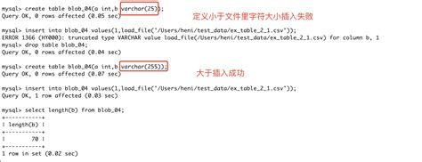 Bug Insert Into Varchar Type Size Limit Problem · Issue 6327