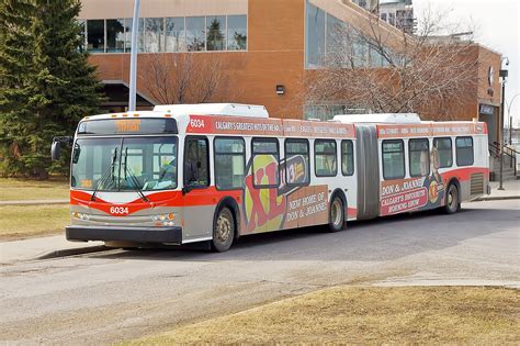 Calgary Travel Essentials Useful Information To Help You Start Your