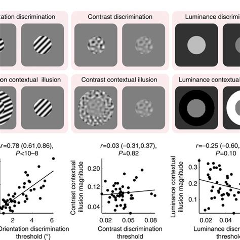 Tradeoff Between Visual Discrimination Sensitivity And Contextual Download Scientific Diagram