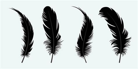 Feather Vector Png 7115 Curved Feather Icon Stock Vectors And Vector