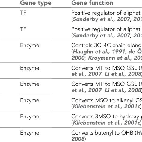 Polymorphic Genes Involved In Aliphatic Gsl Synthesis And Activation