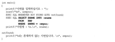 ch04 09 static vs dynamic sql refigo blog