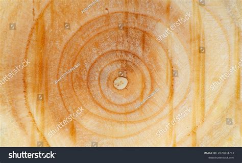 Tree Structure Tree Diagram Model Way Stock Photo Edit Now 2076834733