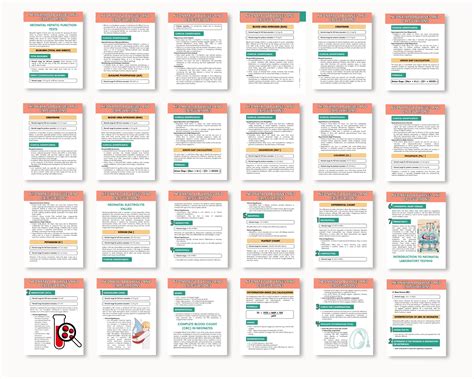 Comprehensive Neonatal Lab Values And Calculations Guide Essential Reference For Healthcare