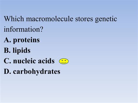 Macromolecules Study Guide Biology Review