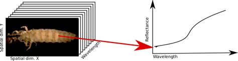 illustration of a hyperspectral datacube each spatial pixel forms a