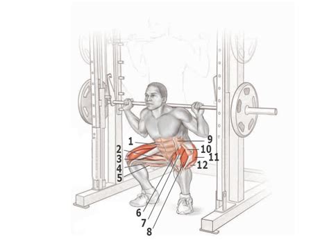 Лучшие упражнения для ягодичных мышц