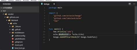 Can T Autoimport Packages In Vendor Directories Issue Microsoft Vscode Go GitHub