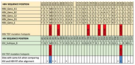 A Section Of The Reference Sequence Alignment Of Hbv Rt And Hiv Rt