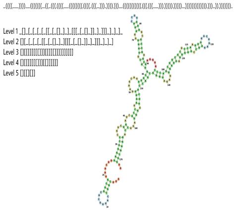 Random And Natural Non Coding Rna Have Similar Structural Motif