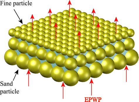 Schematic Distribution Of Soil Particle Deposited In Water Download