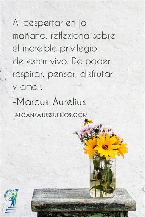 ️ Las 100 Mejores Frases De Gratitud De Todo El Internet Frases De